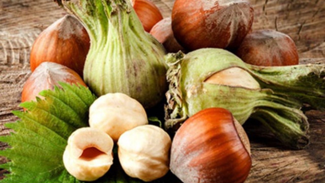 Türkiye'den Fındık En Çok Hangi Ülkeye Satılıyor? - Trabzon Haber ...