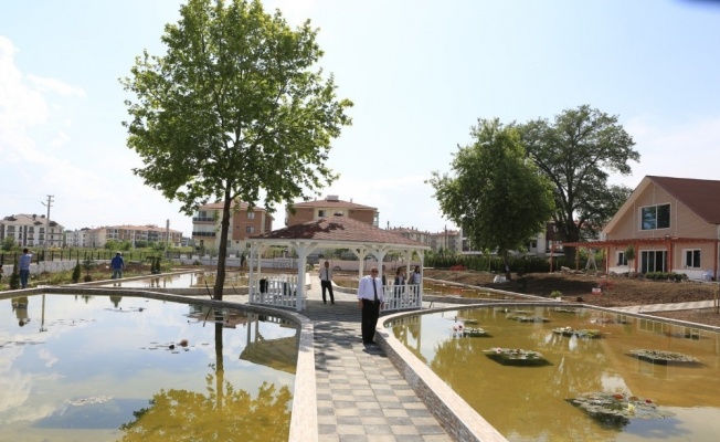 Türkiye’nin ilk ve tek Nilüfer Sanat Parkı Bolu’da açılıyor - Trabzon ... Türkiye’nin ilk ve tek Nilüfer Sanat Parkı Bolu’da açılıyor - Trabzon ...