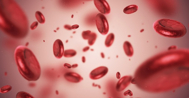 Anemi nedir, belirtileri ve nedenleri nelerdir? Kansızlık (anemi ...